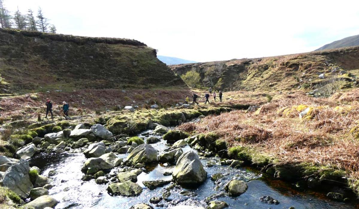 Tranquil tracks and pretty waterways - Mayo Live