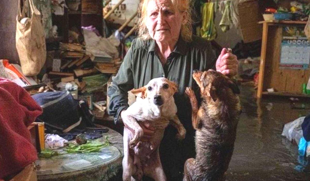 ‘Real evil is happening now’ - Mayo Live