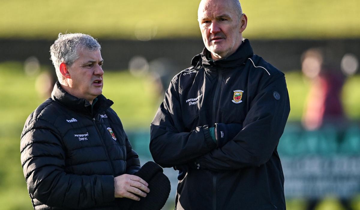 McHale departs Mayo management team - Mayo Live