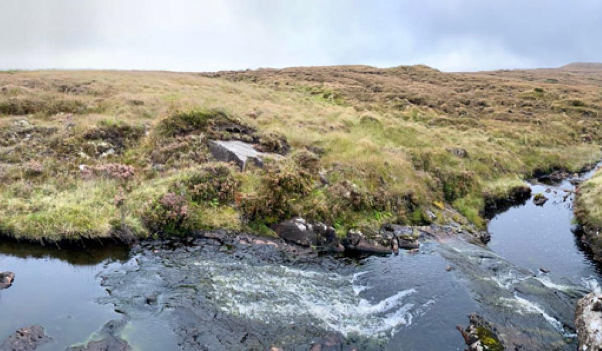 COUNTRY SIGHTS AND SOUNDS: The promise of high ground - Mayo Live