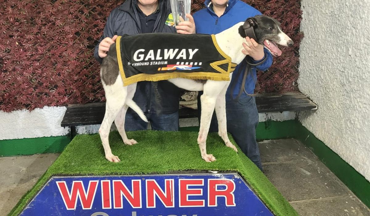 Kilkelly greyhound wins race in Galway - Mayo Live