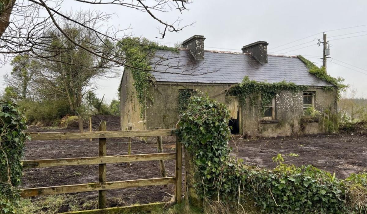 PICTURES: Hidden potential in €70,000 Mayo cottage with 11 acres that ...