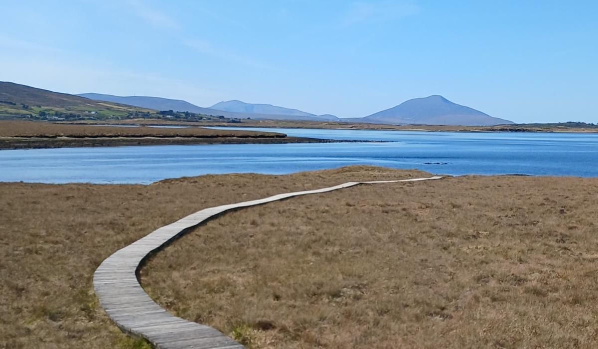 Check out this Mayo hiking trail this weekend - Mayo Live