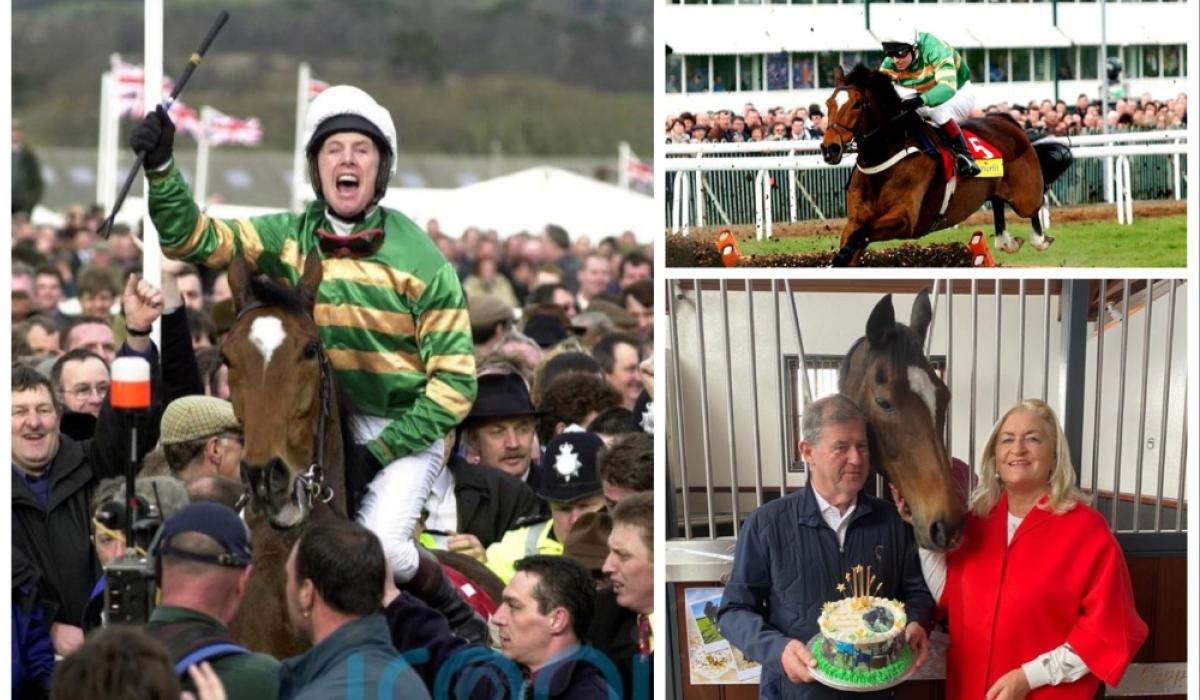 WATCH: Relive Istabraq's magical and memorable moments following death ...