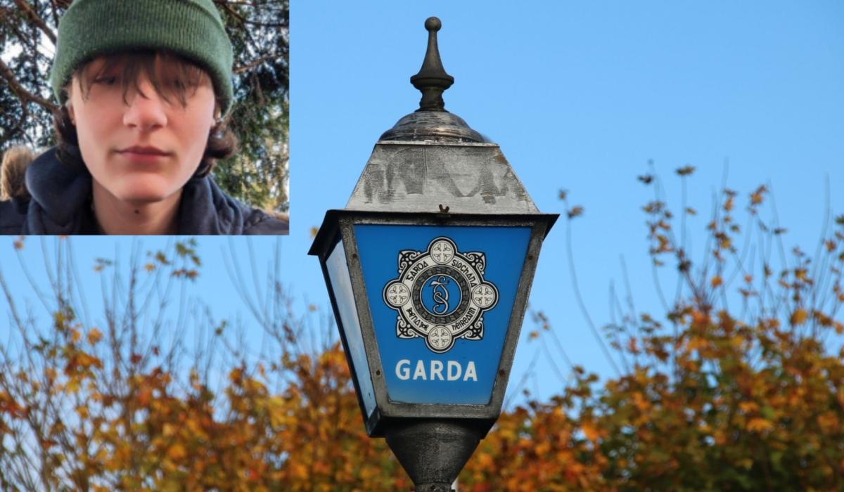 Gardaí issue missing persons appeal for Wexford teen (17) who was last seen on Thursday - Mayo Live
