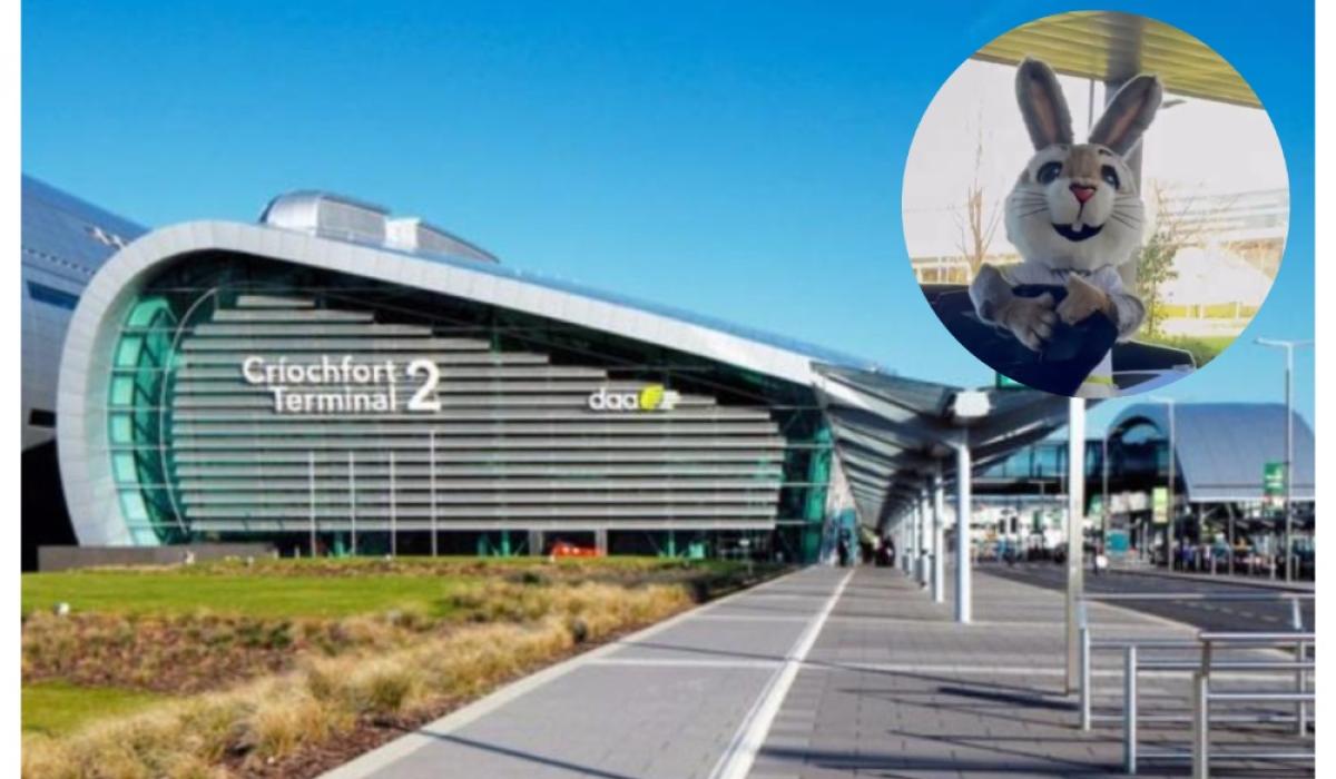 Ah hare! Dublin Airport unveils new furry mascot with public called ...