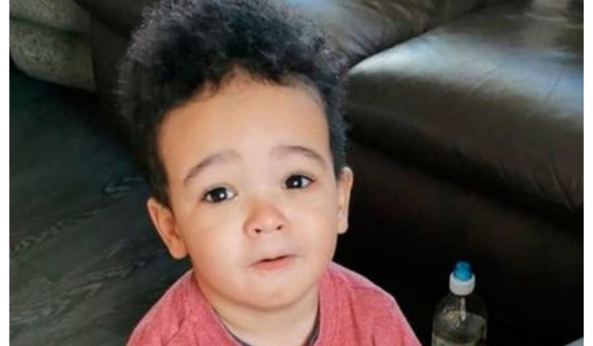 'Serious questions to be asked' - Post mortem to take place on remains found in Dublin search ...