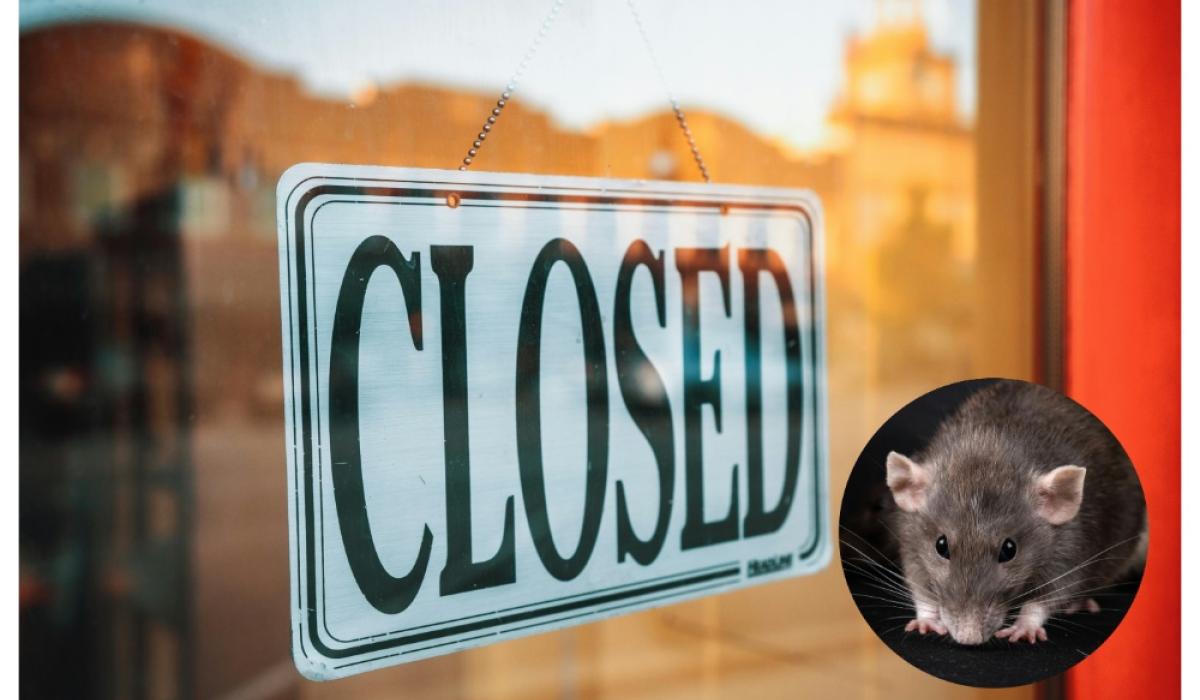 Dead rat and droppings found as part of popular Mayo food businesses ...