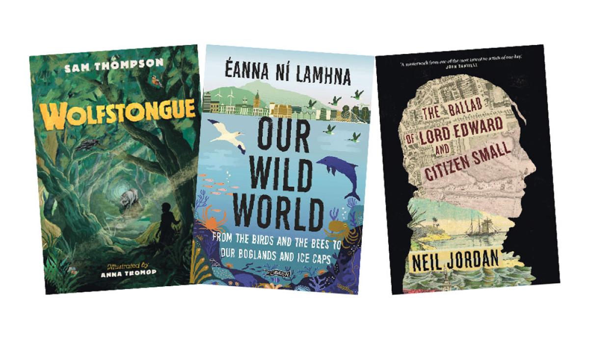 Fantasy, fact and historical fiction - Mayo Live