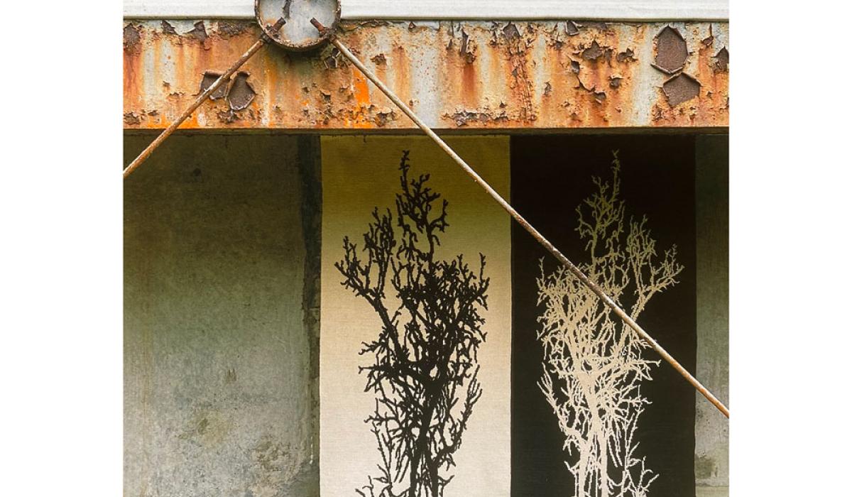 Environment to fore of Inagh exhibition - Mayo Live