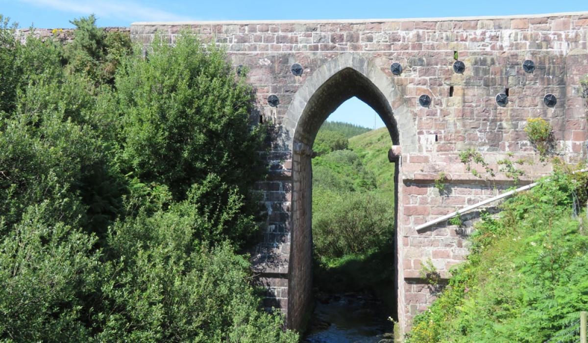 Finding Nimmo’s Bridges - Mayo Live