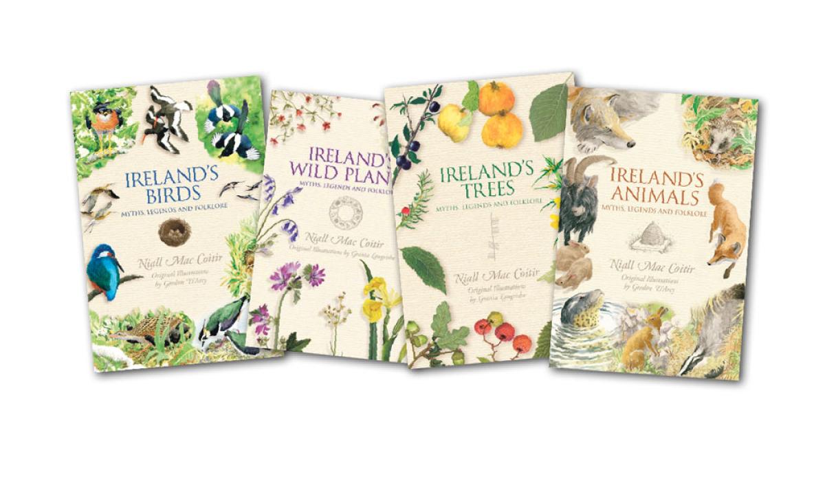 Reconnect with your inner wild - Mayo Live