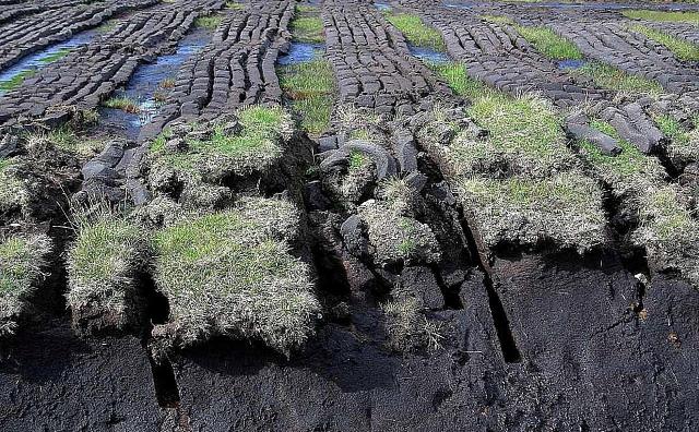 burning peat bog