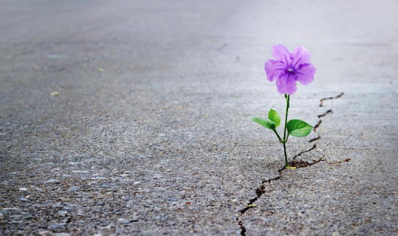 MENTAL HEALTH: How to keep hope alive - Mayo Live