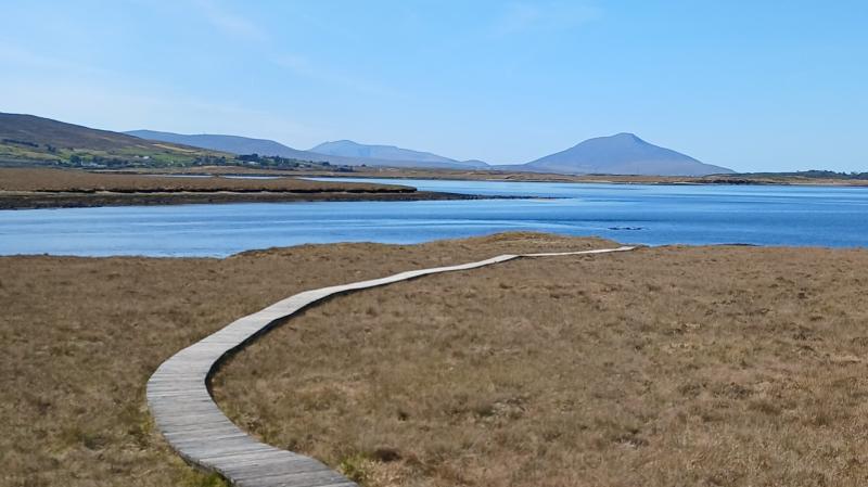 Check out this Mayo hiking trail this weekend - Mayo Live