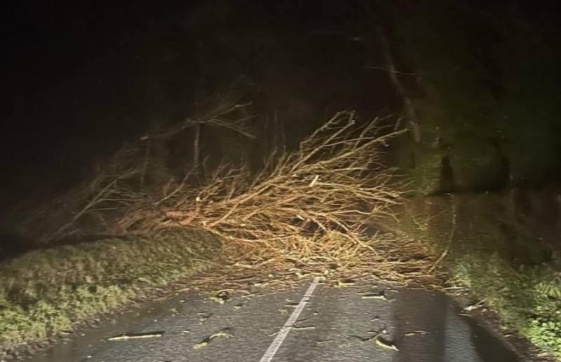 LIVE: More than 560,000 homes without power as Storm Éowyn continues to ...