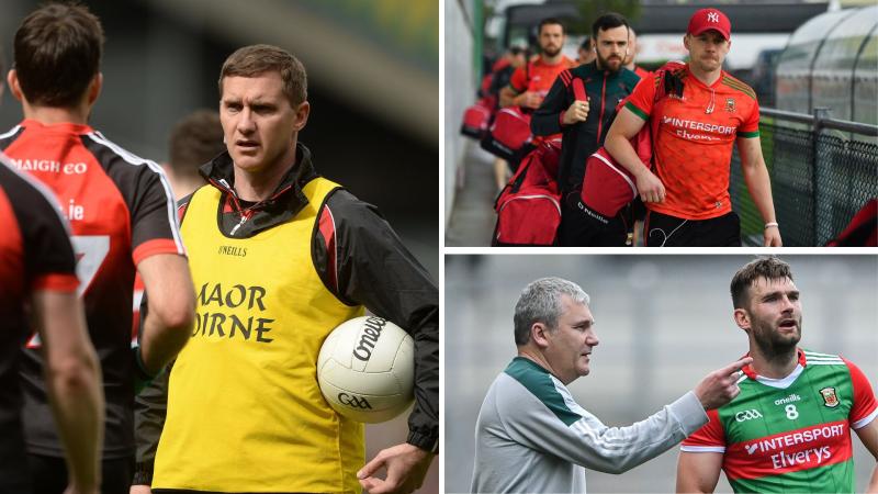 Five men who could be the next Mayo boss - Page 1 of 5 - Mayo Live