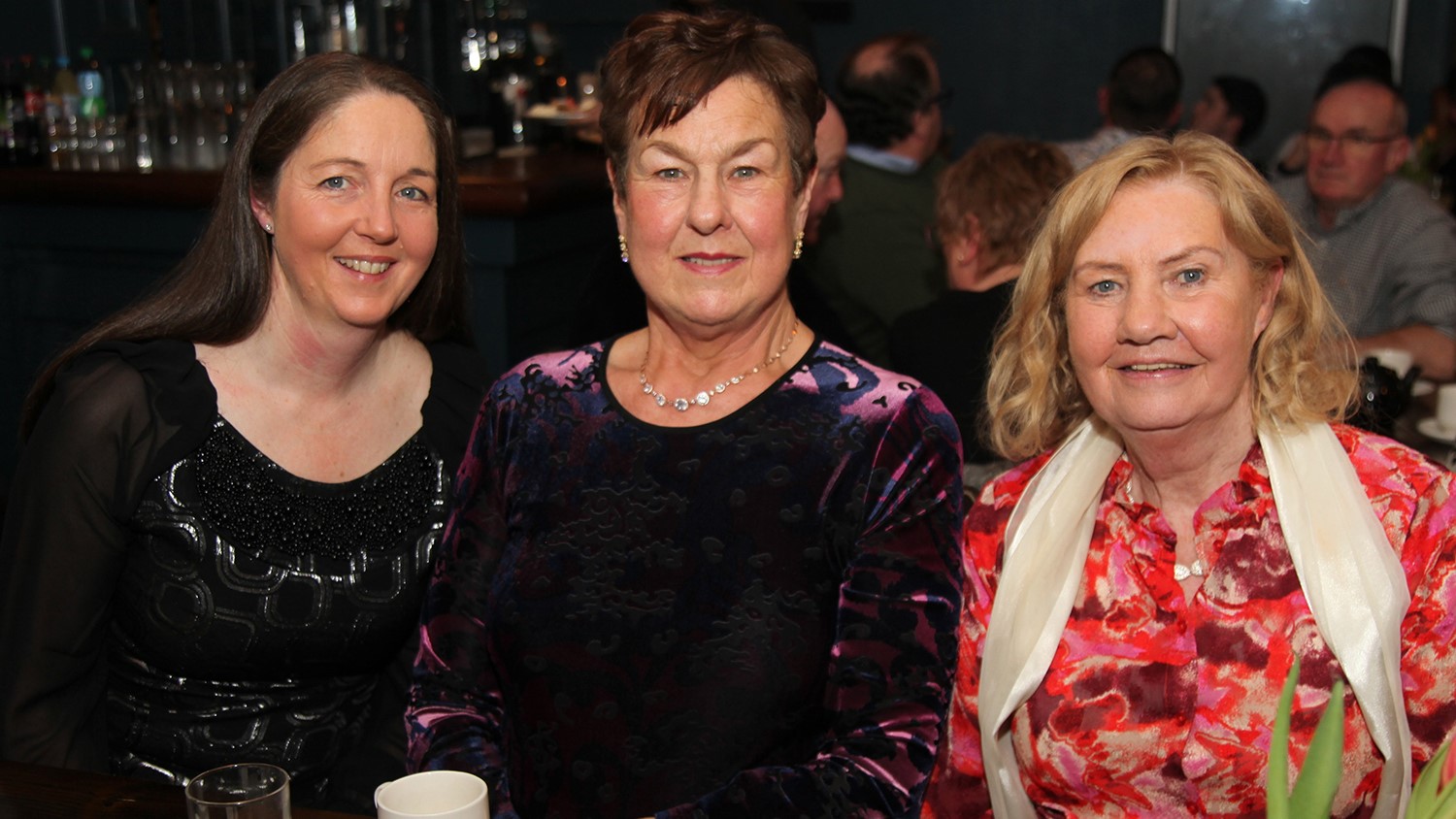 PICTURES: Social shots from The Neale GAA awards night in Lydon's Lodge ...