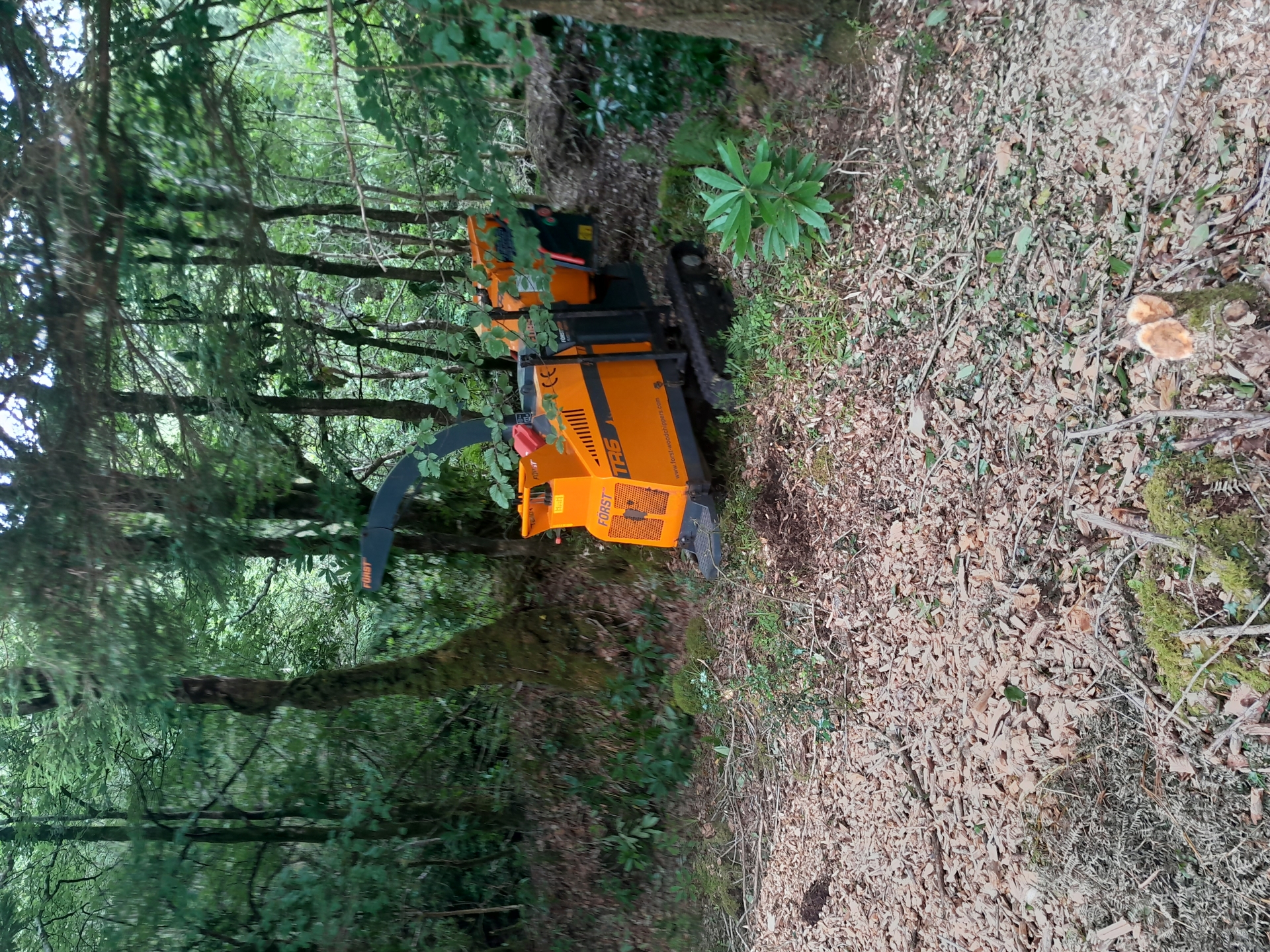 Coillte enhancing forest biodiversity at Tourmakeady Woods - Mayo Live